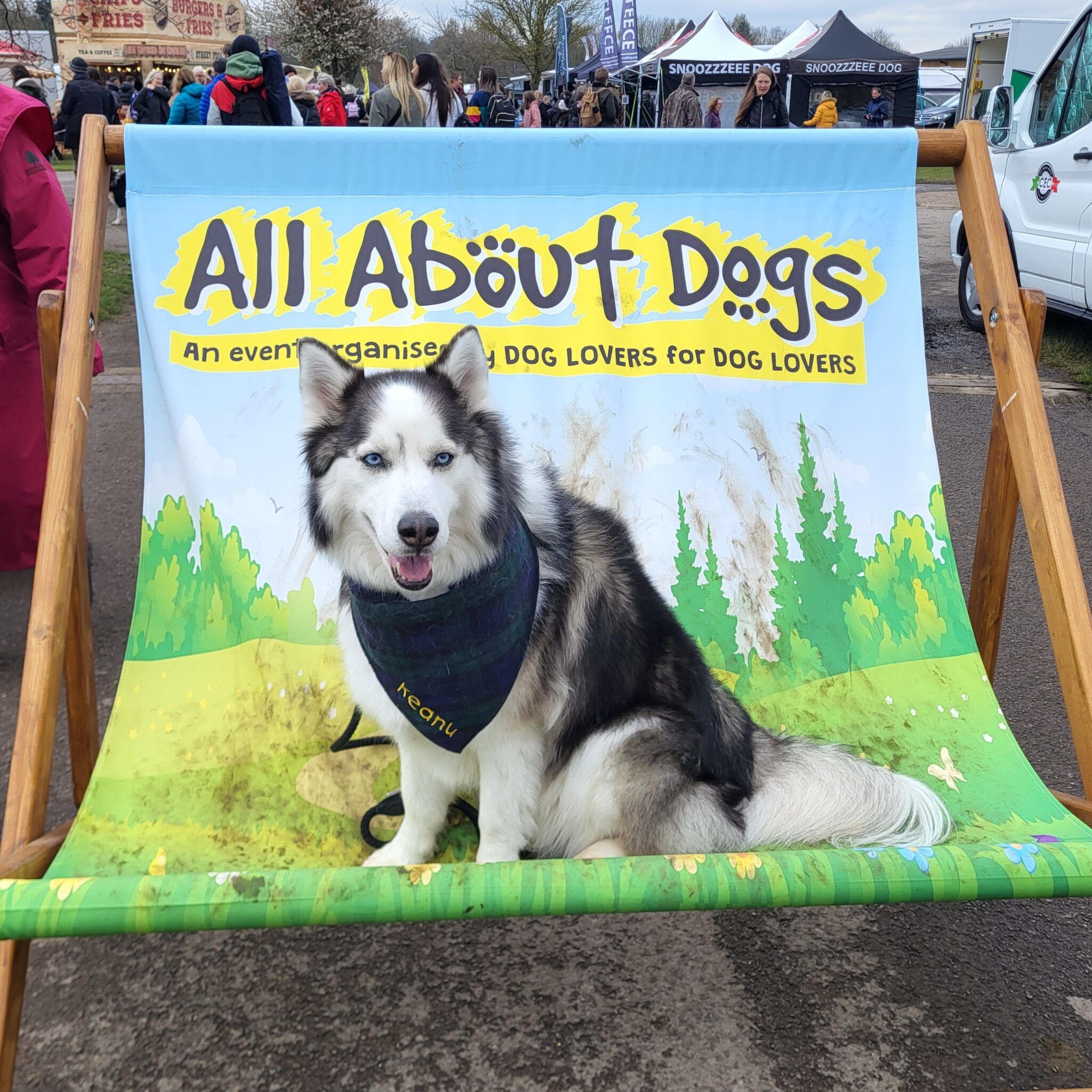 All About Dogs Show - Knebworth House